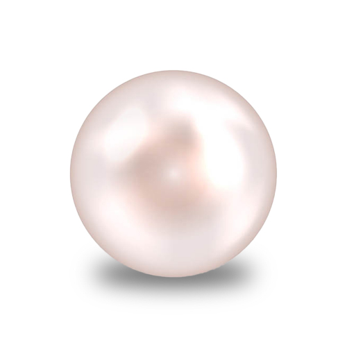 首頁 - Suet Jewellery 雪姐珠寶